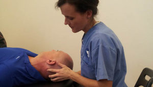 Anatomy and Palpation | Southern Ontario College of Osteopathy